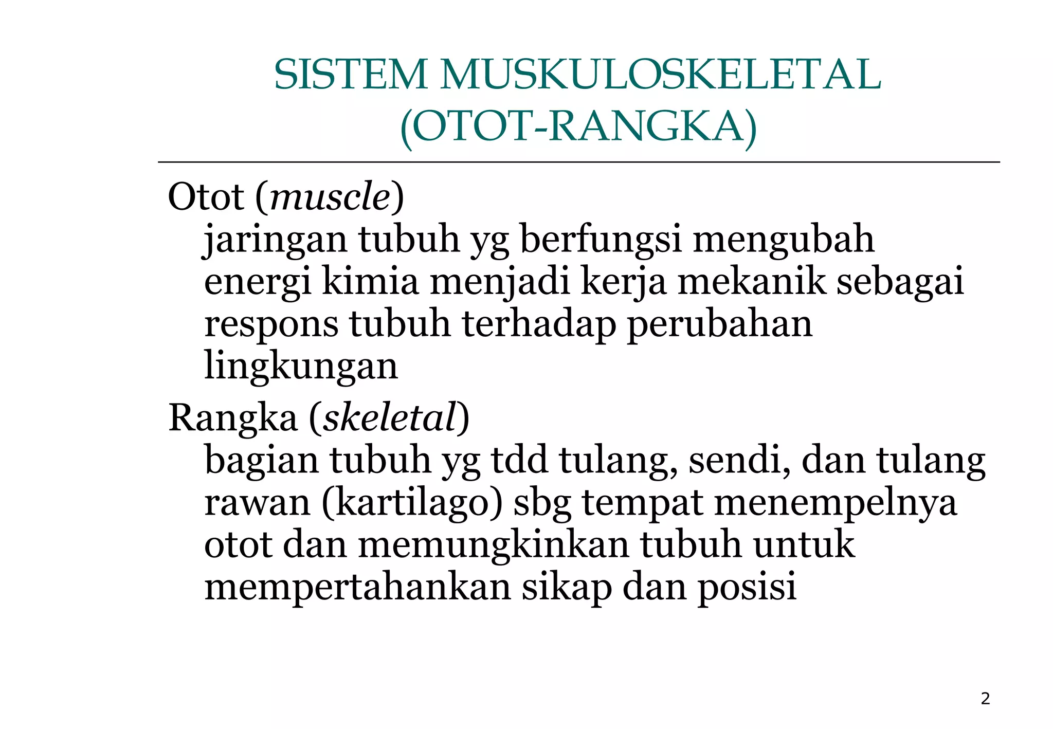 Anatomi Muskuloskeletal | PPT