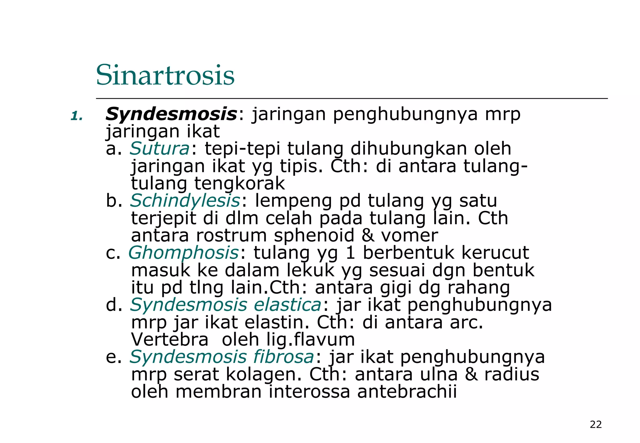 Anatomi Muskuloskeletal | PPT