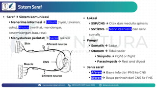 Anatomi Nervi Cranialis_Signatura baru.pdf
