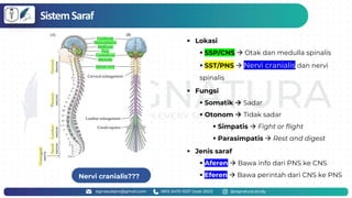 Anatomi Nervi Cranialis_Signatura baru.pdf