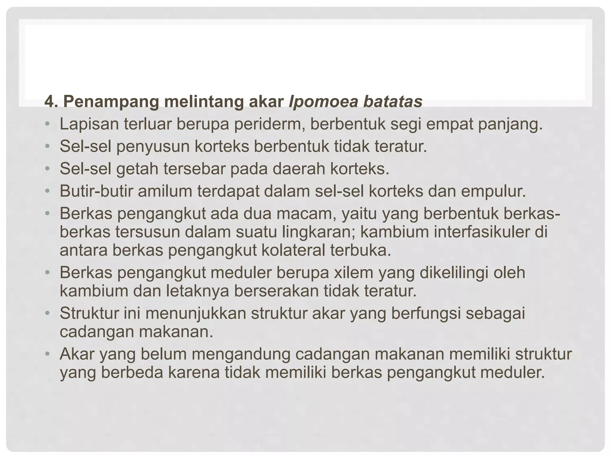 ANATOMI ORGAN AKAR.pptx