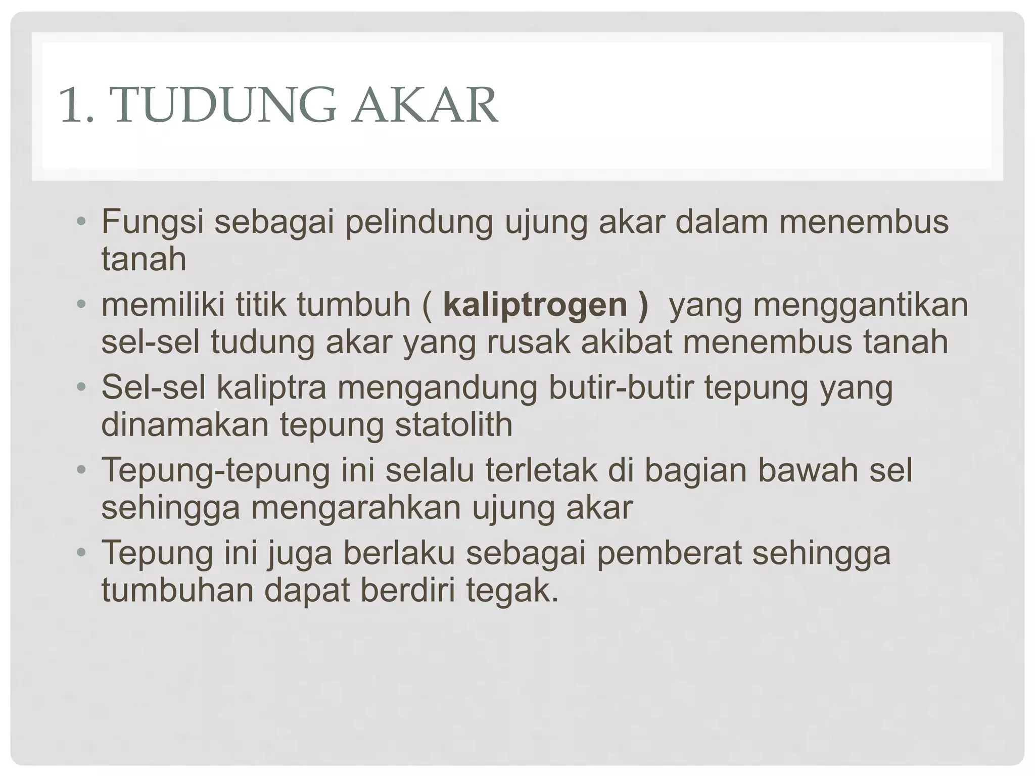 ANATOMI ORGAN AKAR.pptx