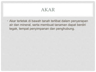 ANATOMI ORGAN AKAR.pptx