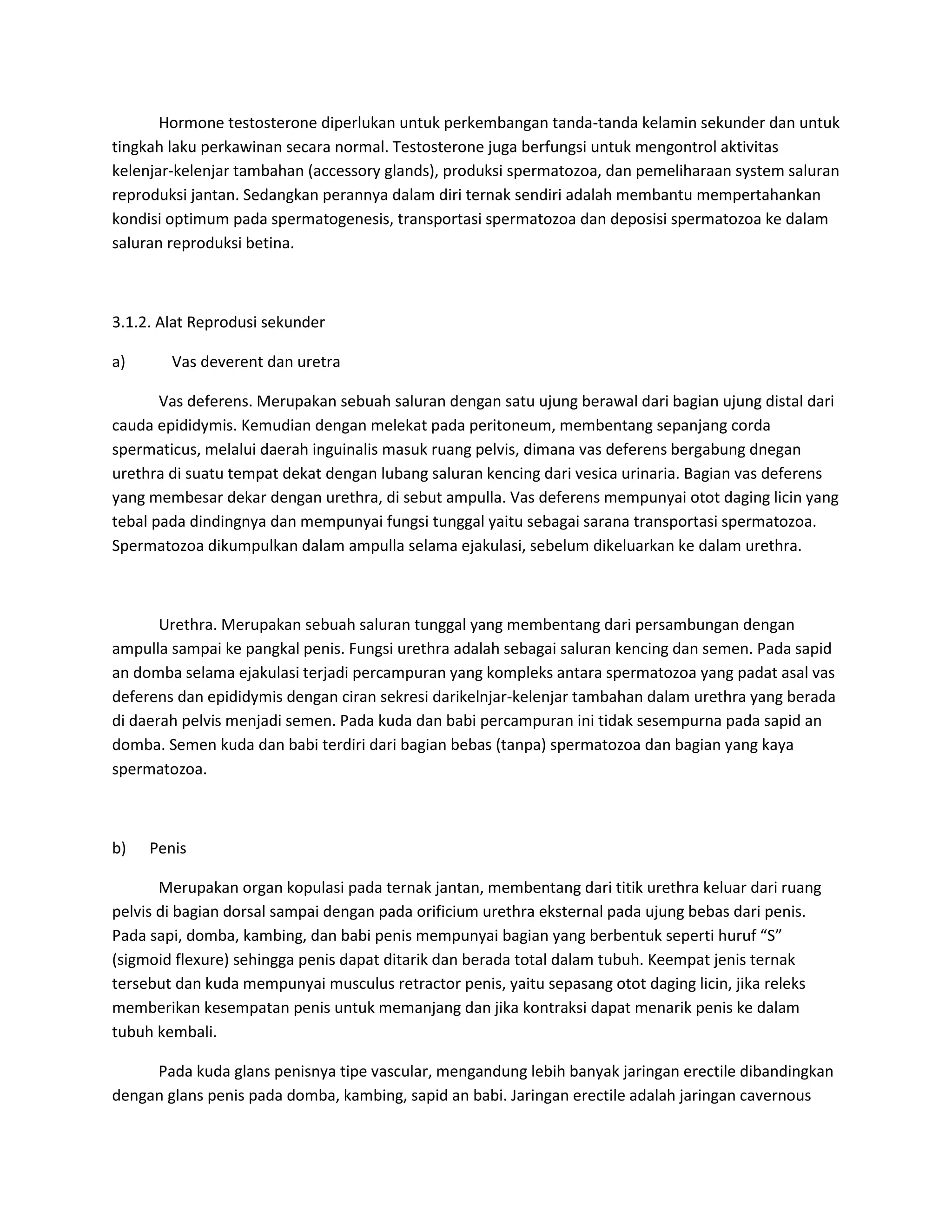 Anatomi organ reproduksi ternak jantan | DOCX