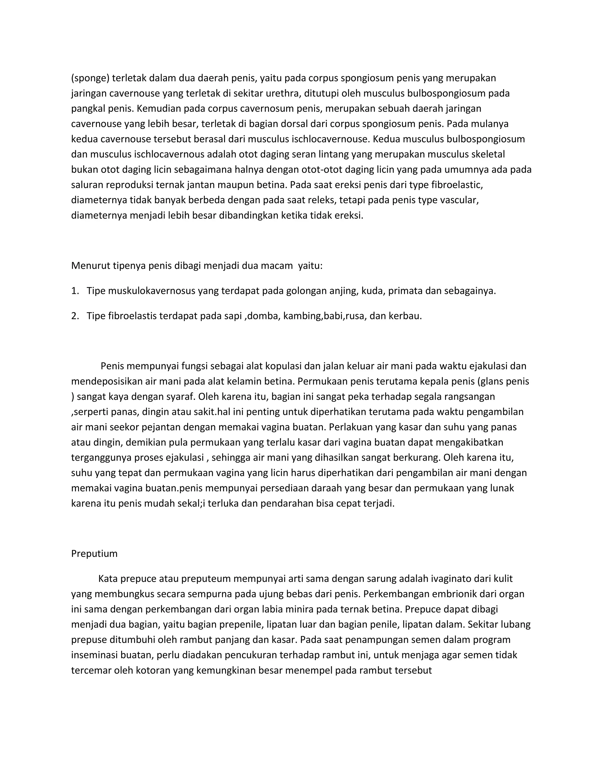 Anatomi organ reproduksi ternak jantan | DOCX