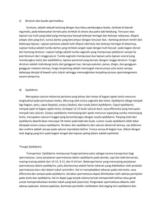 Anatomi organ reproduksi ternak jantan | DOCX