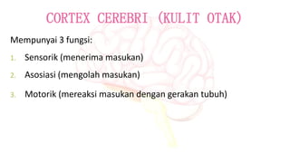 Anatomi Otak dan Gangguan Jiwa dalam Keperawatan | PDF