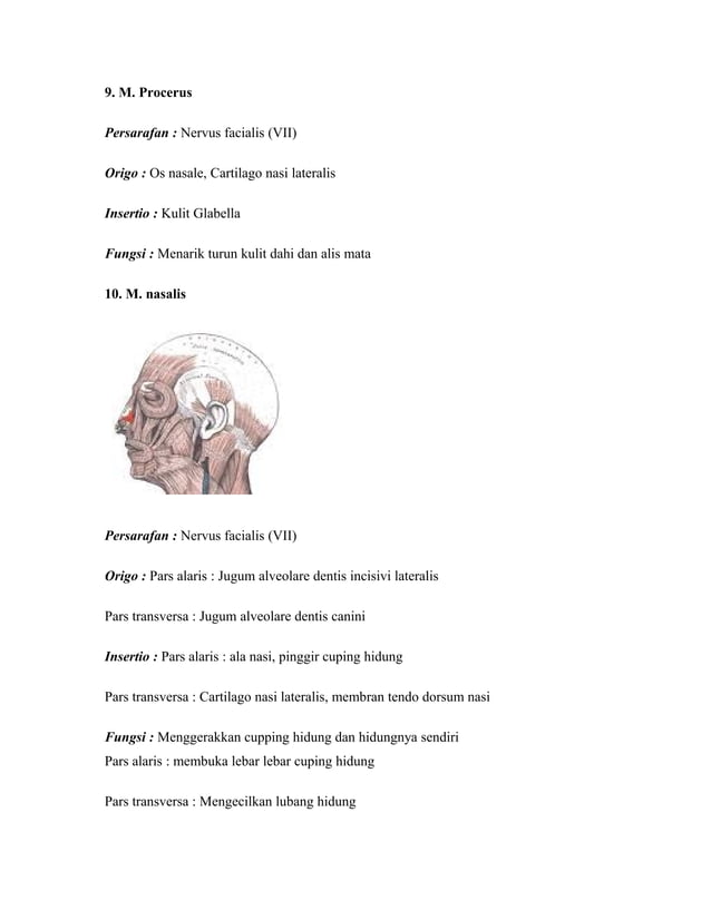 Anatomi otot wajah | DOC