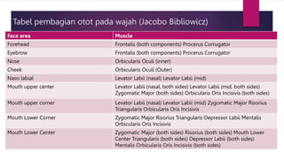 ANATOMI OTOT WAJAH.pptx