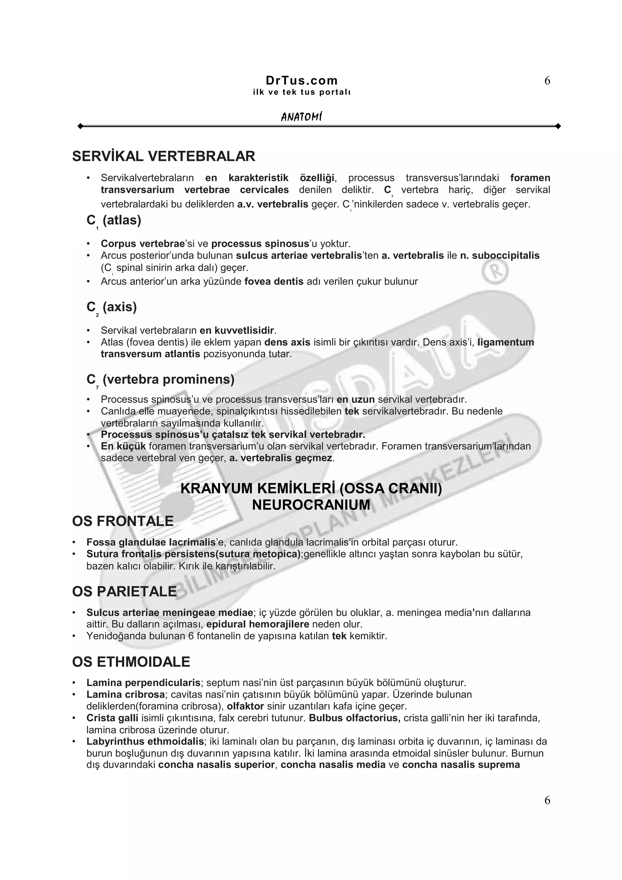 Anatomi ozetnot | PDF