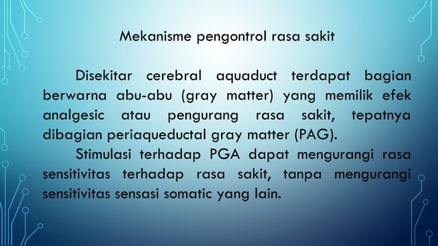 ANATOMI PANCA INDRA PERABA. Kelompok 6.ppt