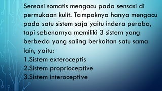 ANATOMI PANCA INDRA PERABA. Kelompok 6.ppt