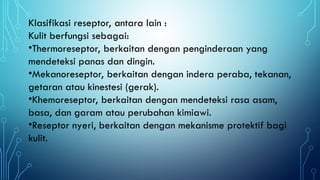 ANATOMI PANCA INDRA PERABA. Kelompok 6.ppt