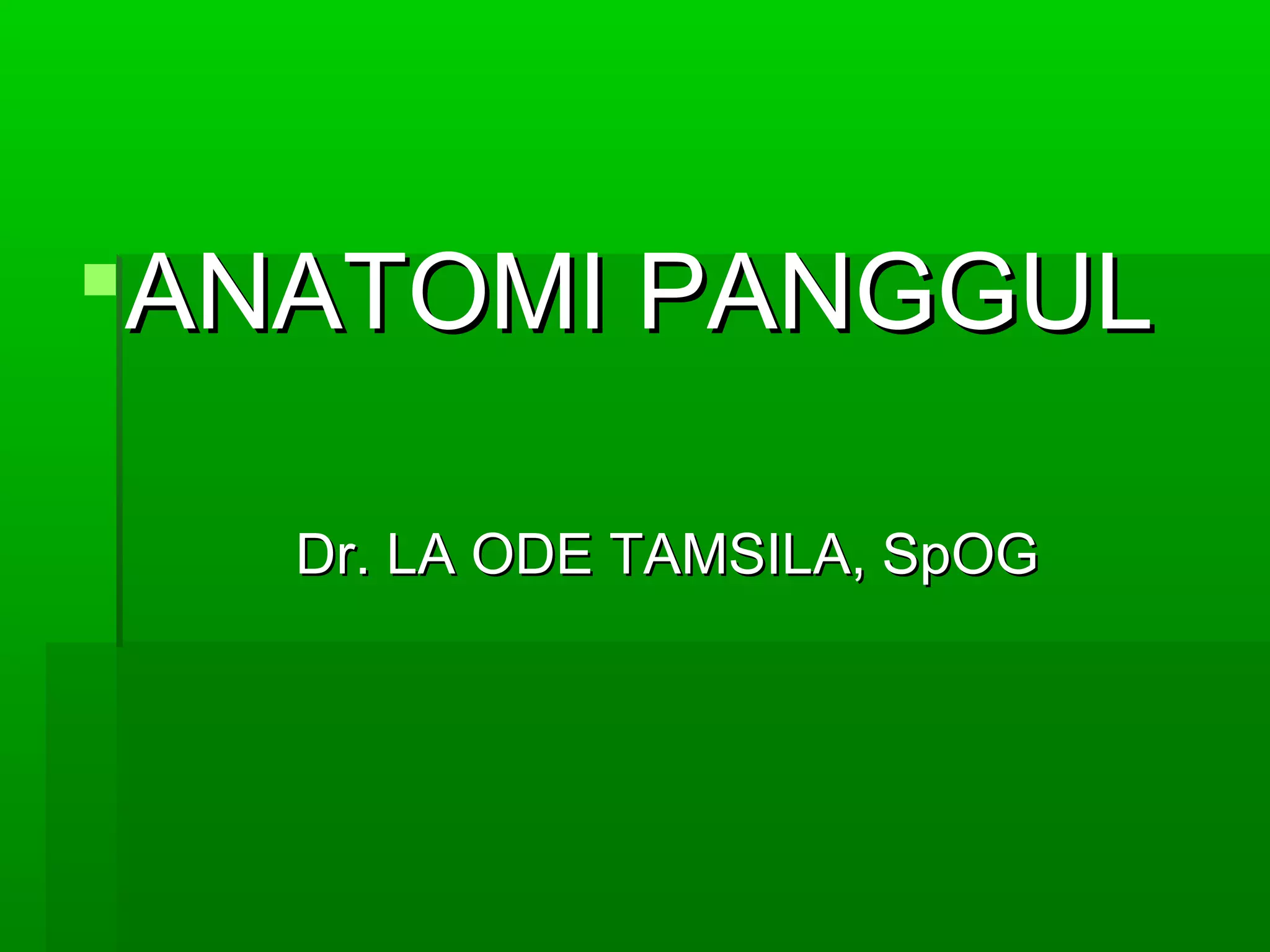 Anatomi panggul | PPT
