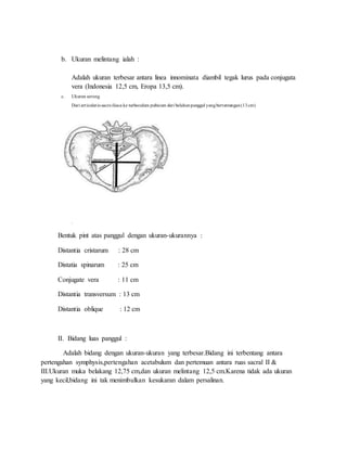 Anatomi panggul | DOCX