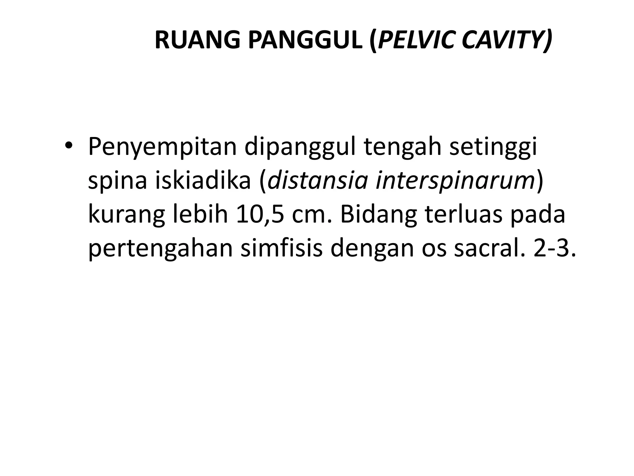 Anatomi panggul | PPTX