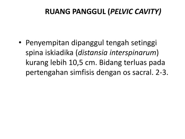 Anatomi panggul | PPTX