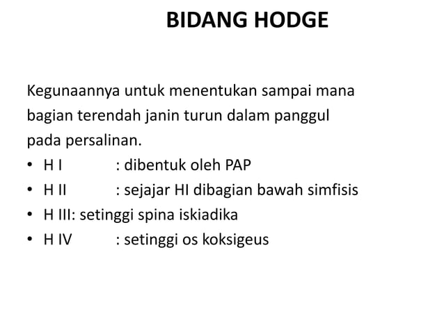 Anatomi panggul | PPTX