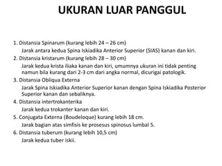 Anatomi panggul | PPTX