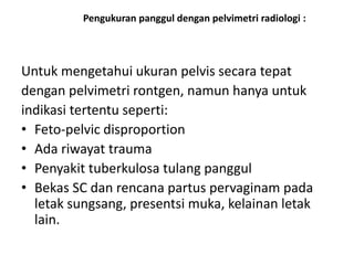 Anatomi panggul | PPTX