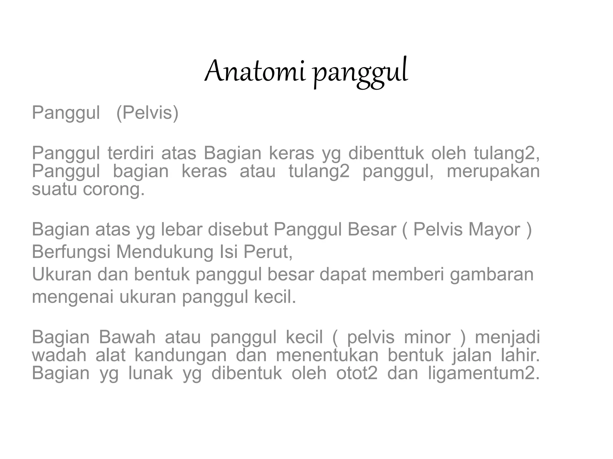 Anatomi Panggul | PPTX