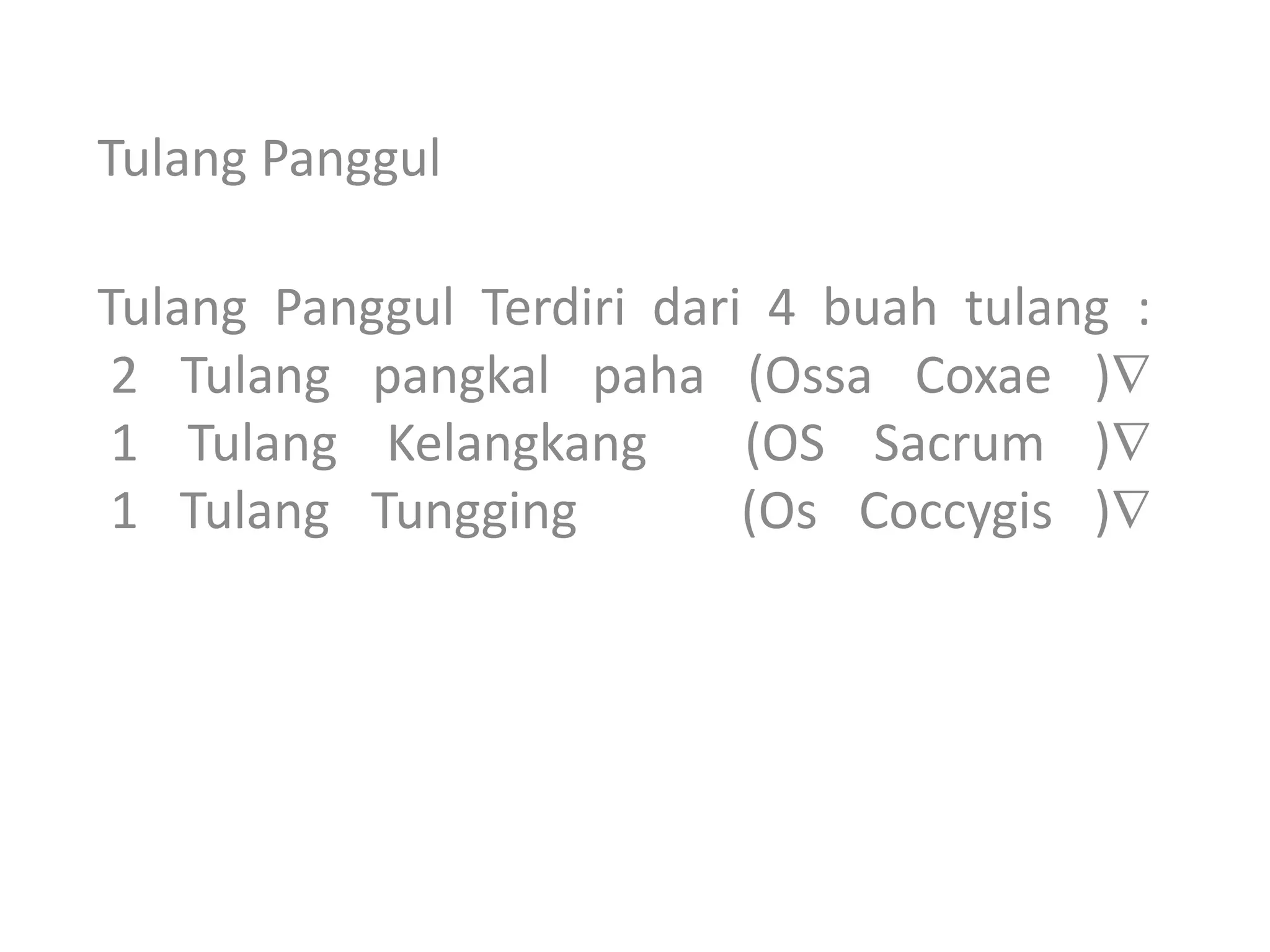 Anatomi Panggul | PPTX
