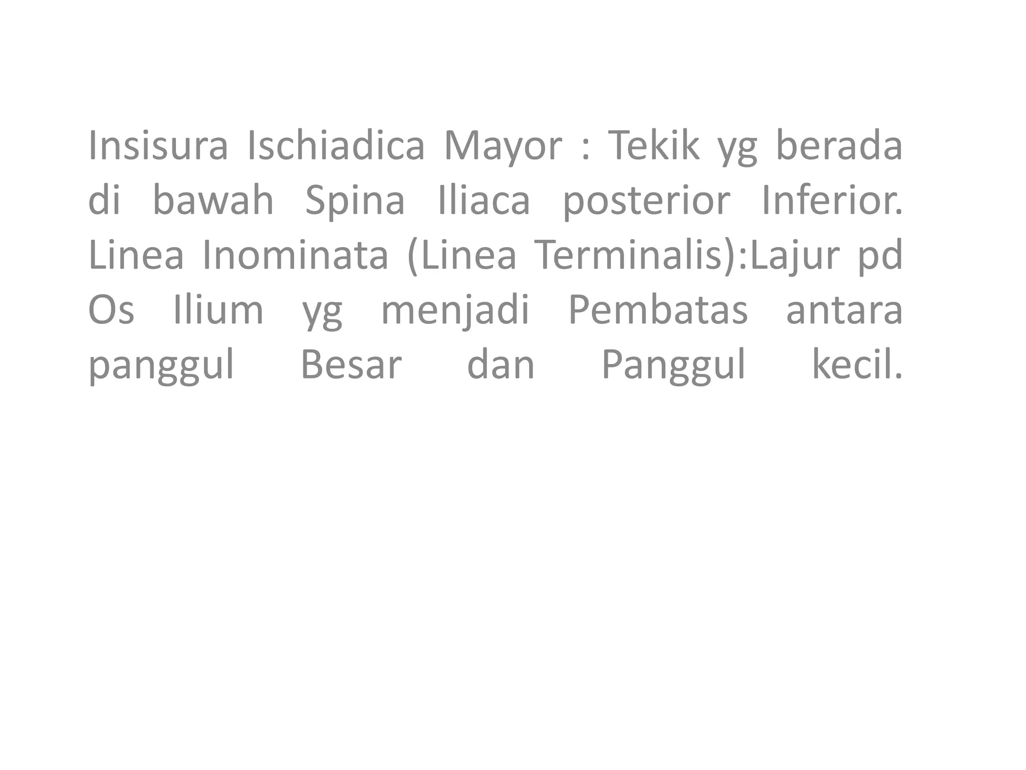 Anatomi Panggul | PPTX