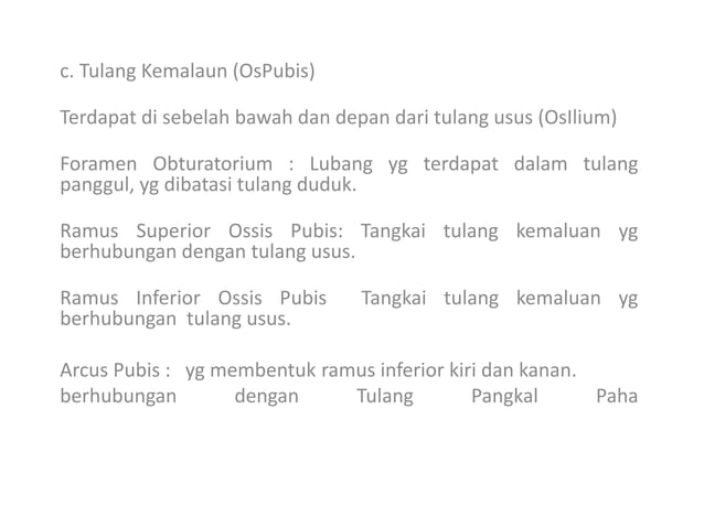 Anatomi Panggul | PPTX