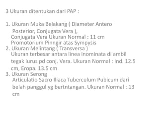 Anatomi Panggul | PPTX