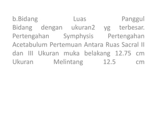 Anatomi Panggul | PPTX