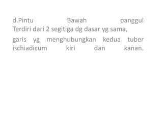 Anatomi Panggul | PPTX