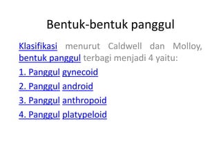 Anatomi Panggul | PPTX
