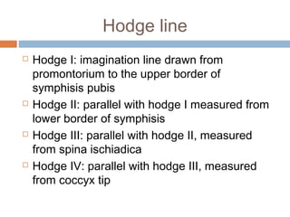 Anatomi panggul 2010 | PPT