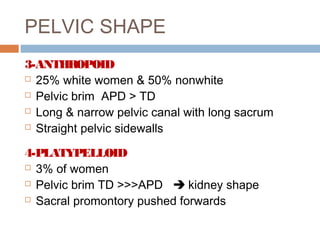 Anatomi panggul 2010 | PPT