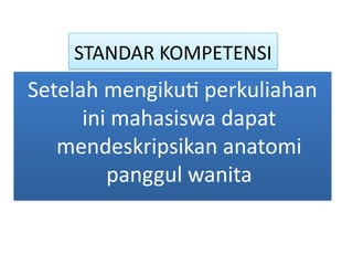 Anatomi Panggul vshsnnanjdjsnjamamananna s banana.pptx