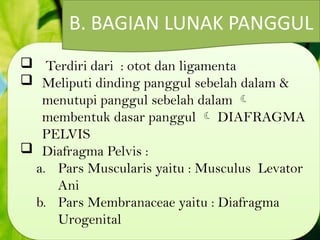 Anatomi Panggul vshsnnanjdjsnjamamananna s banana.pptx