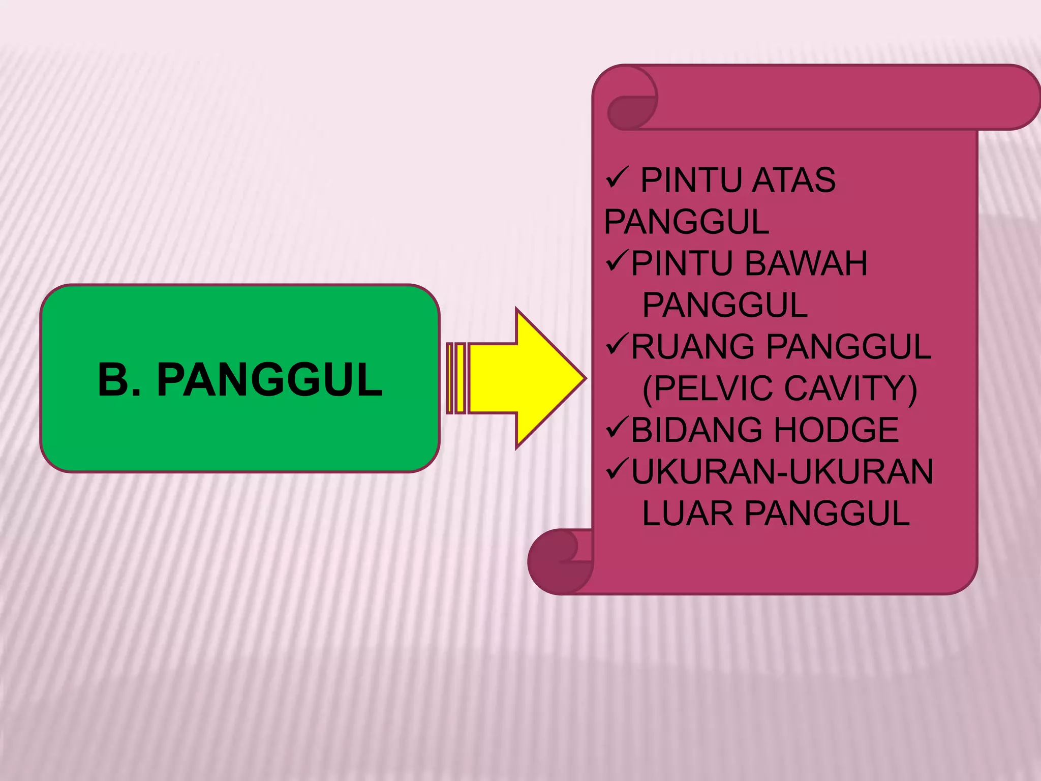 Anatomi panggul tugas | PPTX