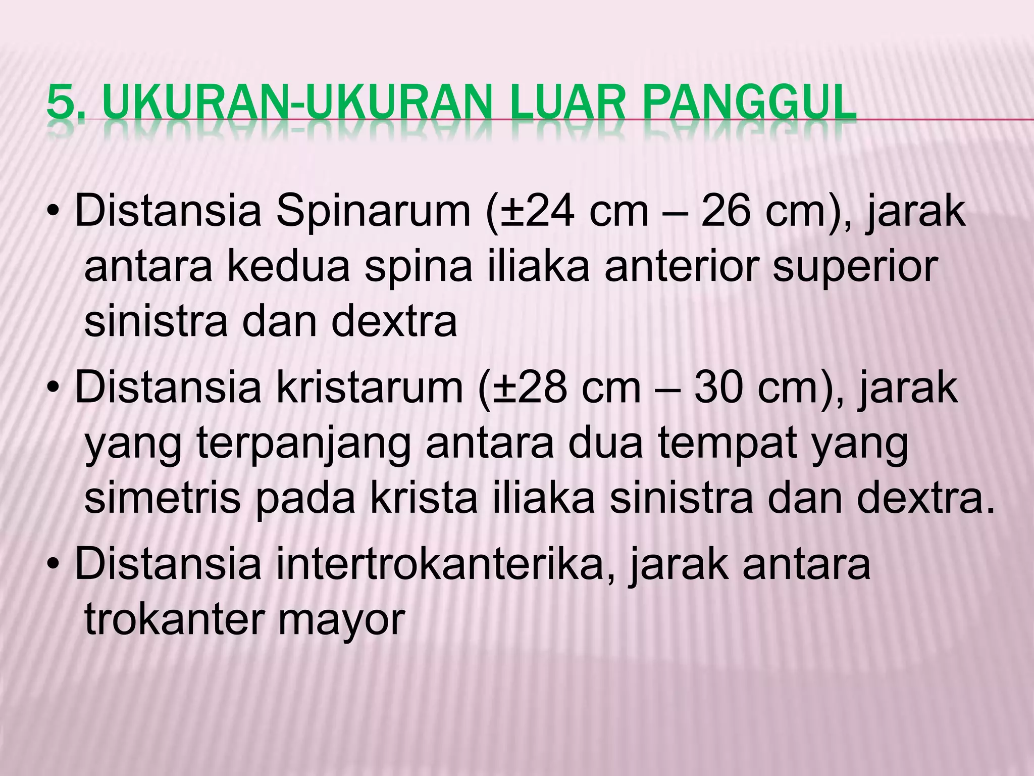 Anatomi panggul tugas | PPTX