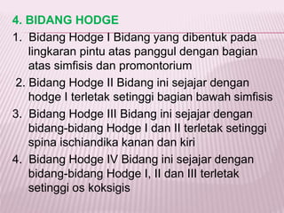 Anatomi panggul tugas | PPTX