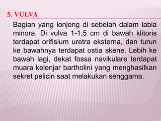 Anatomi panggul tugas | PPTX