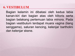 Anatomi panggul tugas | PPTX