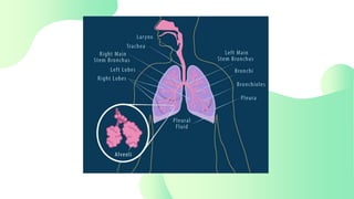Anatomi paru paru | PPT