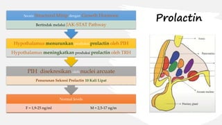 anatomi payudara dan fisiologi menyusui.pptx