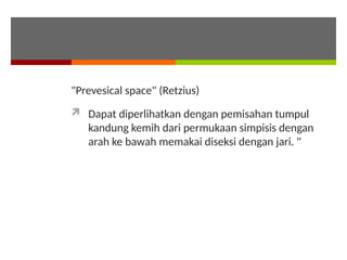 ANATOMI pelvic iqro.pptx penjelasan tentang anatomi | PPT