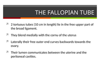 ANATOMI pelvic iqro.pptx penjelasan tentang anatomi | PPT