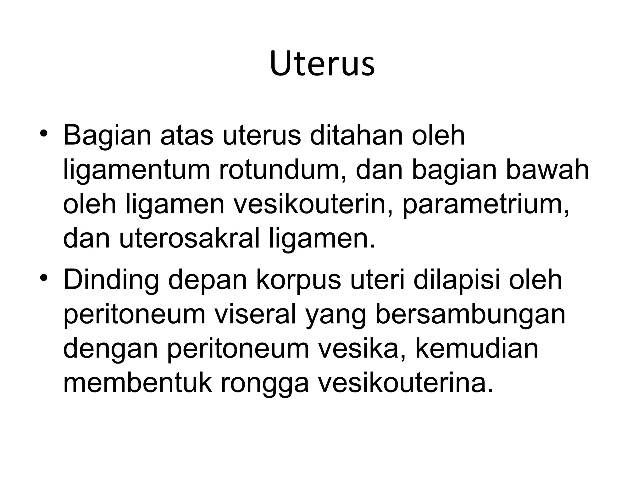 Anatomi pelvik untuk laparaskopi | PPT