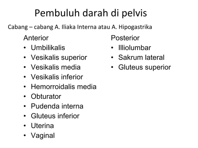 Anatomi pelvik untuk laparaskopi | PPT