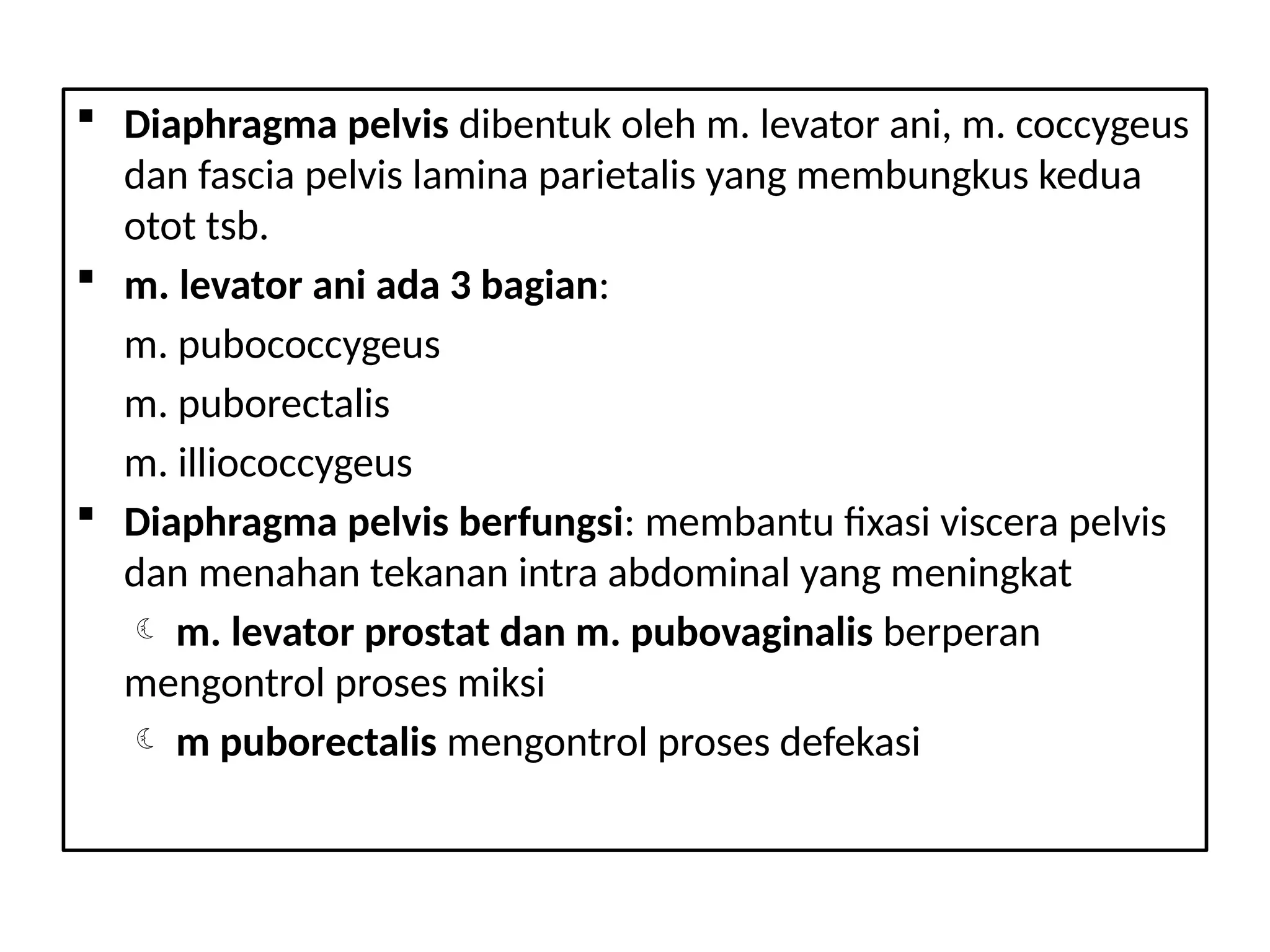 ANATOMI PELVIS ANATOMI PELVIS ANATOMI PELVIS | PPTX