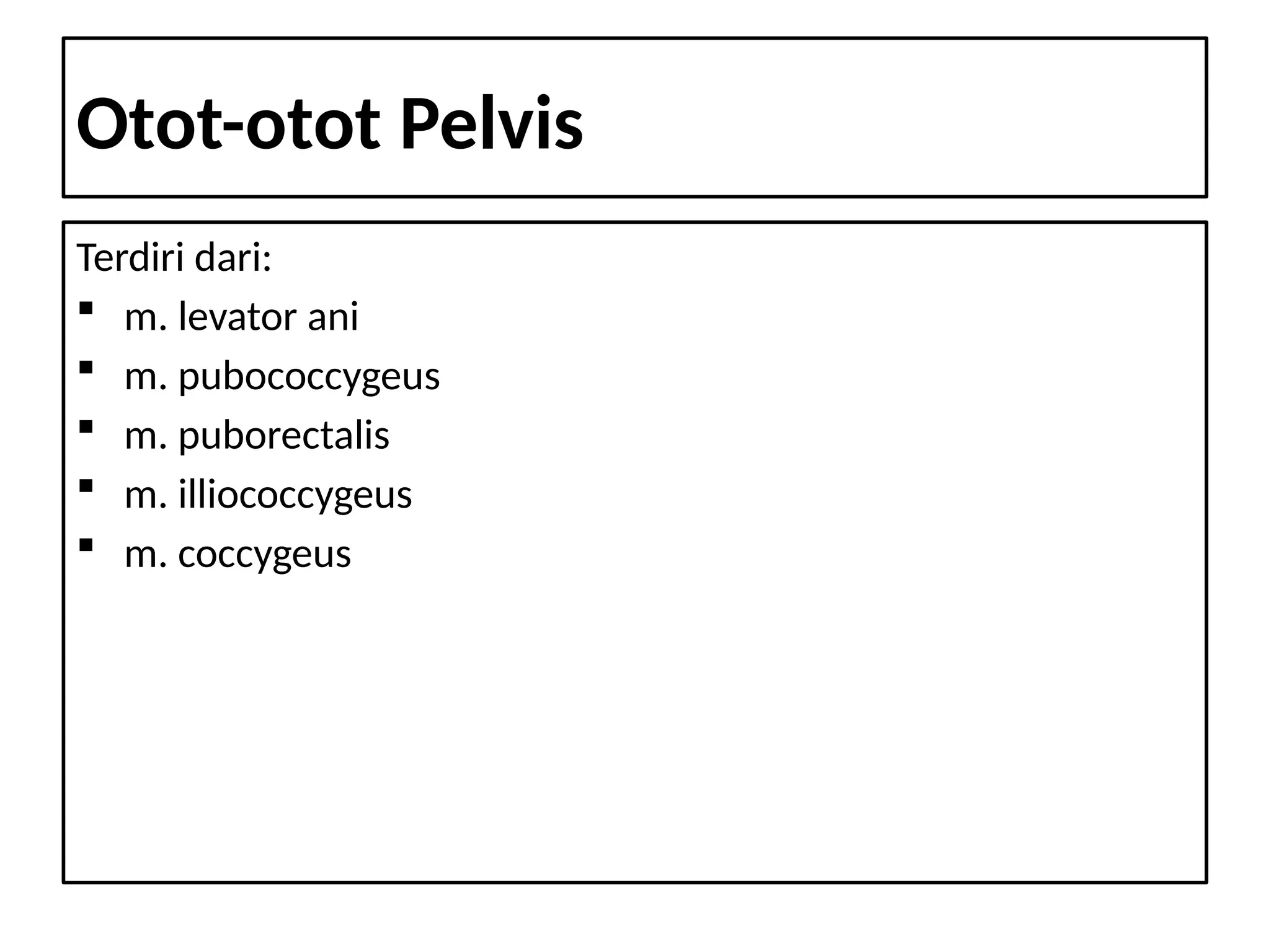 ANATOMI PELVIS ANATOMI PELVIS ANATOMI PELVIS | PPTX
