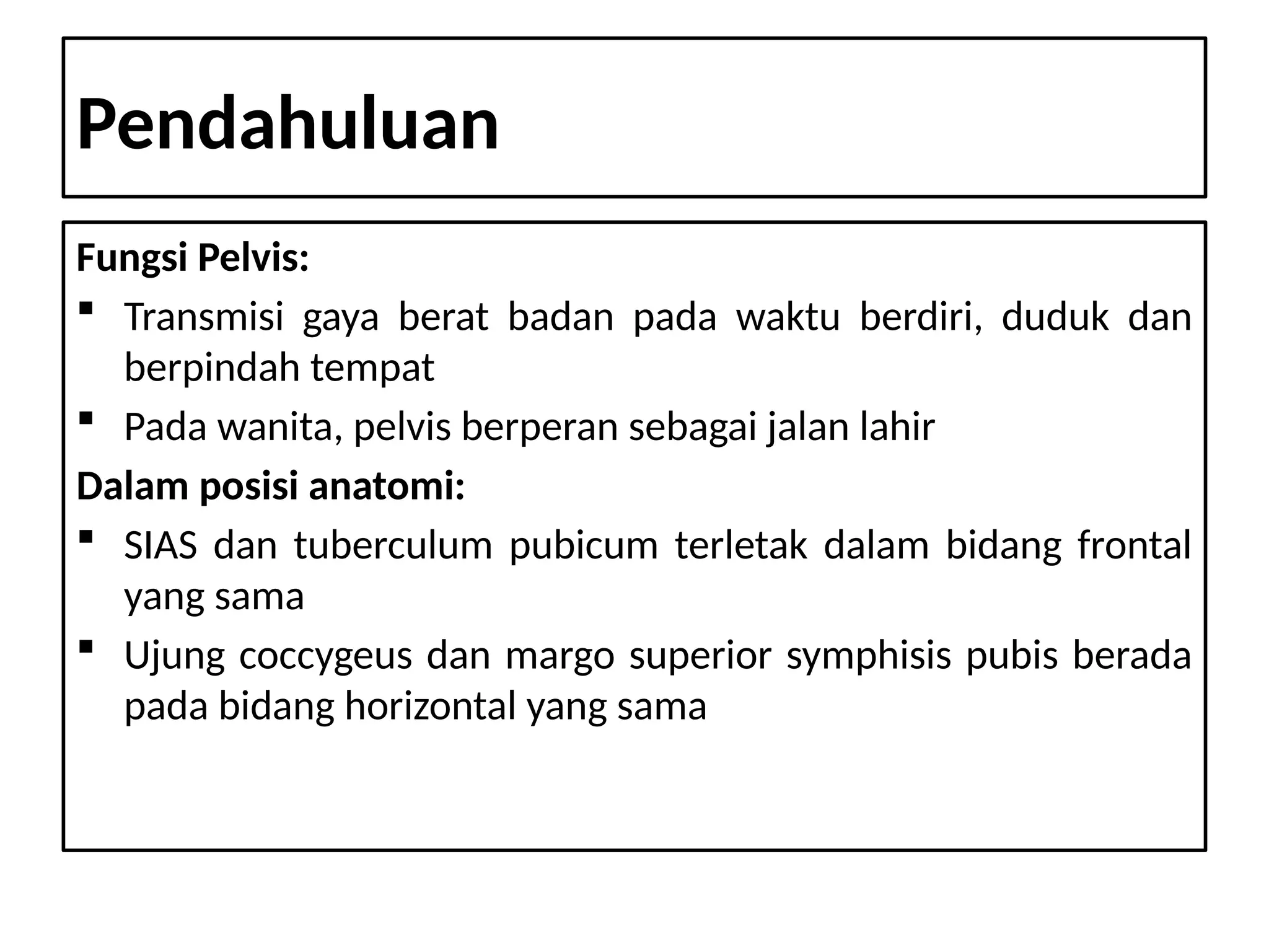 ANATOMI PELVIS ANATOMI PELVIS ANATOMI PELVIS | PPTX